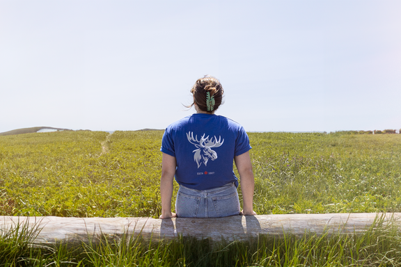 Moosehead Light – Moosehead Store